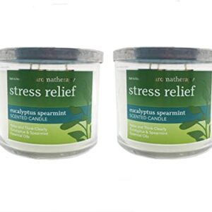 Bath and Body Works Aromatherapy 3 Wick Candle, 14.5 Oz, Eucalyptus Spearmint (2 Pack)