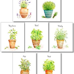 Kitchen Wall Art - Herbs Prints in Pots (Set of 7) - Farmhouse Decor - Unframed Botanical Prints (5x7)