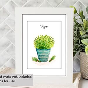 Kitchen Wall Art - Herbs Prints in Pots (Set of 7) - Farmhouse Decor - Unframed Botanical Prints (5x7)