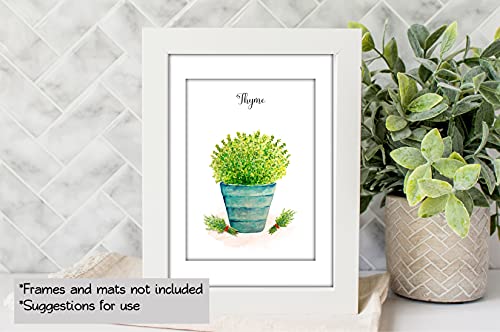 Kitchen Wall Art - Herbs Prints in Pots (Set of 7) - Farmhouse Decor - Unframed Botanical Prints (5x7)