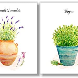 Kitchen Wall Art - Herbs Prints in Pots (Set of 7) - Farmhouse Decor - Unframed Botanical Prints (5x7)