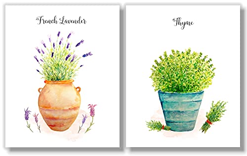 Kitchen Wall Art - Herbs Prints in Pots (Set of 7) - Farmhouse Decor - Unframed Botanical Prints (5x7)