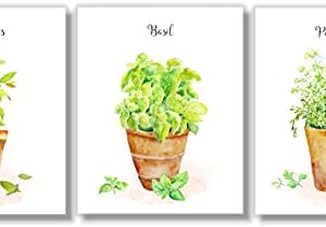 Kitchen Wall Art - Herbs Prints in Pots (Set of 7) - Farmhouse Decor - Unframed Botanical Prints (5x7)