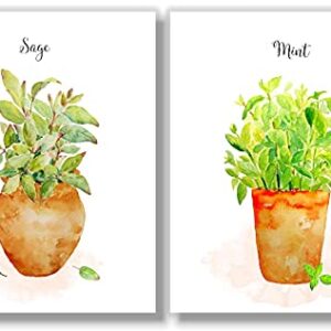 Kitchen Wall Art - Herbs Prints in Pots (Set of 7) - Farmhouse Decor - Unframed Botanical Prints (5x7)