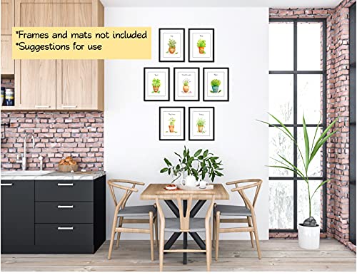 Kitchen Wall Art - Herbs Prints in Pots (Set of 7) - Farmhouse Decor - Unframed Botanical Prints (5x7)