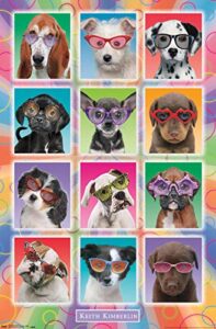 trends international keith kimberlin – puppies – sunglasses wall poster, 22.375″ x 34″, unframed version