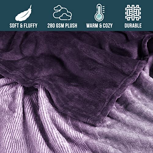 PAVILIA Flannel Fleece Ombre Throw Blanket for Couch | Soft Cozy Microfiber Couch Gradient Accent Blanket | Warm Lightweight Blanket for Sofa Chair Bed | All Season 50x60 Inches Purple Lavender