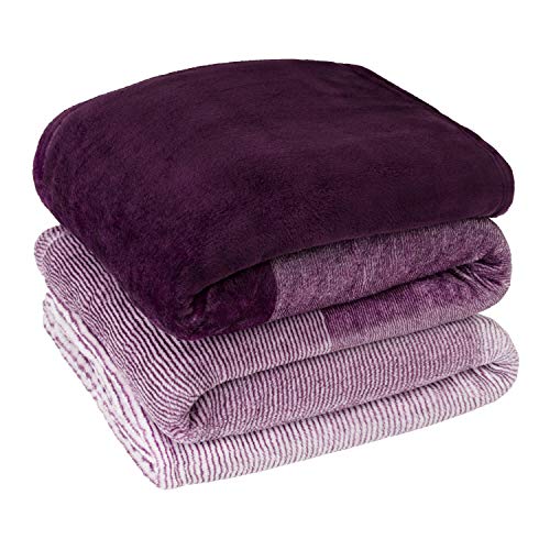 PAVILIA Flannel Fleece Ombre Throw Blanket for Couch | Soft Cozy Microfiber Couch Gradient Accent Blanket | Warm Lightweight Blanket for Sofa Chair Bed | All Season 50x60 Inches Purple Lavender