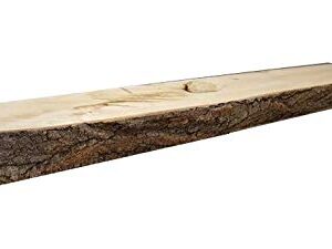 Wilson Basswood Bark Edge Mantel 66 inch x 3 inch x 7-8 inch