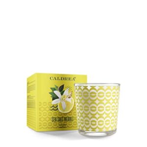 caldrea scented candle, made with essential oils and other thoughtfully chosen ingredients, 45 hour burn time, sea salt neroli scent, 8.1 oz