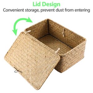 Vosarea Rattan Storage Basket,Straw Seaweed Basket, Hand-Woven Storage Basket Multipurpose Container with Lid for Desktop Home Decoration (10inch)