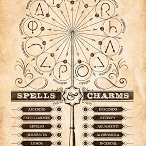 MIGHTYPRINT Harry Potter - Spells and Charms - Wand Patterns - Durable 17” x 24" Wall Art – NOT Made of Paper – Officially Licensed Collectible