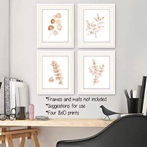 Botanical Prints Wall Art - Watercolor Eucalyptus Leaf Prints (Set of 4) - 8x10 - Unframed