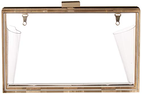 Jessica McClintock Women's Lucinda Lucite Clutch w/Pouch, Rose Gold