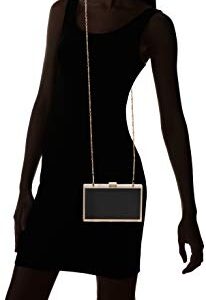 Jessica McClintock Women's Lucinda Lucite Clutch w/Pouch, Rose Gold