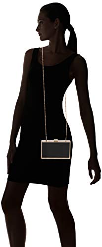 Jessica McClintock Women's Lucinda Lucite Clutch w/Pouch, Rose Gold