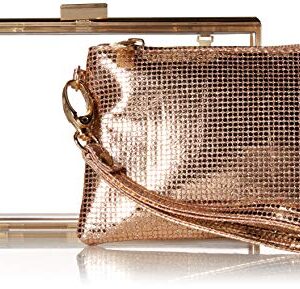 Jessica McClintock Women's Lucinda Lucite Clutch w/Pouch, Rose Gold