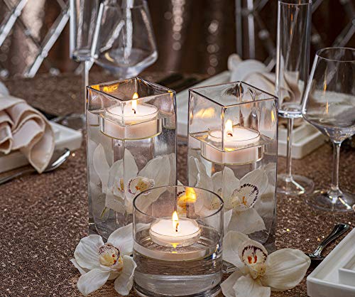 BOLSIUS 48 Unscented Tea Lights in Clear Cups - 8 Burn Hours - Premium European Quality - Consistent Smokeless Flame - 100% Cotton Wick - Dinner, Wedding, Party, Spa, Church, & Home Décor Tealights