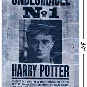 Trends International The Wizarding World: Harry Potter - Undesirable Wall Poster, 22.375" x 34", Unframed Version