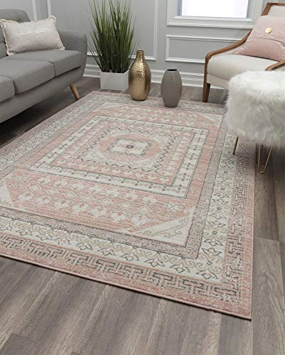 Rugs America Harper HY40A Carnation Transitional Vintage Area Rug, 5'x7'