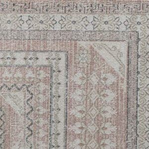 Rugs America Harper HY40A Carnation Transitional Vintage Area Rug, 5'x7'