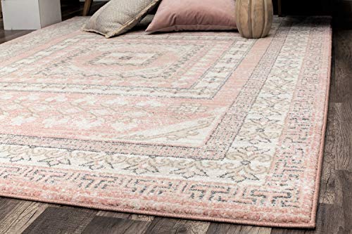 Rugs America Harper HY40A Carnation Transitional Vintage Area Rug, 5'x7'