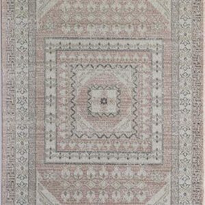 Rugs America Harper HY40A Carnation Transitional Vintage Area Rug, 5'x7'