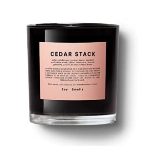 cedar stack boy smells candle | 50 hour long burn | coconut & beeswax blend | luxury scented candles for home (8.5 oz)