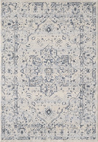 Abani Rugs 7'9" x 10'2" Grey & Blue Geometric Floral Motif Area Rug - Troy Collection Distressed Style Accent Rug