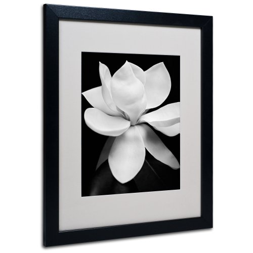 Magnolia Canvas Wall Art by Michael Harrison with Black Frame, 16 by 20-Inch