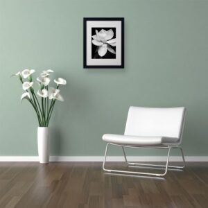 Magnolia Canvas Wall Art by Michael Harrison with Black Frame, 16 by 20-Inch