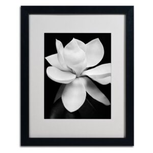 Magnolia Canvas Wall Art by Michael Harrison with Black Frame, 16 by 20-Inch