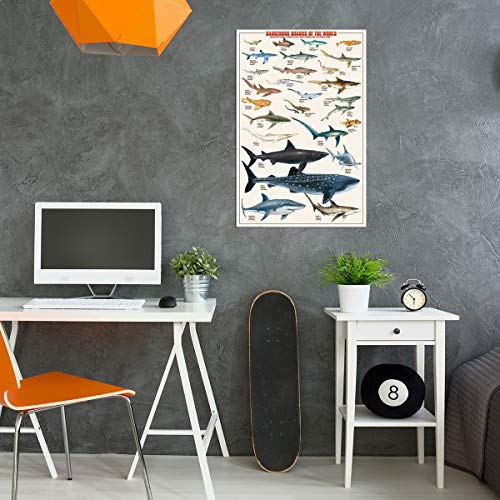 EuroGraphics Dangerous Sharks Poster, 36 x 24 in