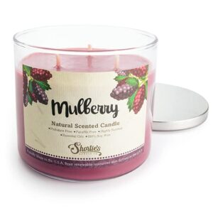 Mulberry Natural 3 Wick Candle, Essential Fragrance Oils, 100% Soy, Phthalate & Paraben Free, Clean Burning, 14.5 Oz.