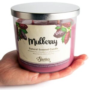 Mulberry Natural 3 Wick Candle, Essential Fragrance Oils, 100% Soy, Phthalate & Paraben Free, Clean Burning, 14.5 Oz.