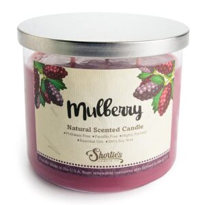 Mulberry Natural 3 Wick Candle, Essential Fragrance Oils, 100% Soy, Phthalate & Paraben Free, Clean Burning, 14.5 Oz.