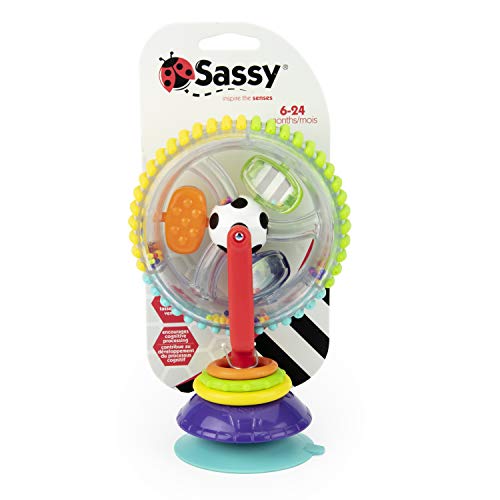 Sassy Wonder Wheel Activity Center