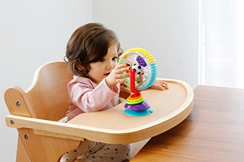 Sassy Wonder Wheel Activity Center