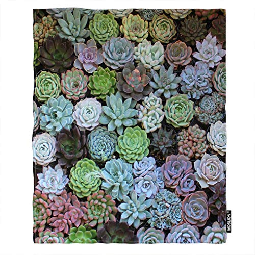 Moslion Soft Cozy Throw Blanket Pretty Verdant Cute Succulent Plants Cactaceae Fuzzy Warm Couch/Bed Blanket for Adult/Youth Polyester 30 X 40 Inches(Home/Travel/Camping Applicable)