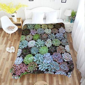 Moslion Soft Cozy Throw Blanket Pretty Verdant Cute Succulent Plants Cactaceae Fuzzy Warm Couch/Bed Blanket for Adult/Youth Polyester 30 X 40 Inches(Home/Travel/Camping Applicable)