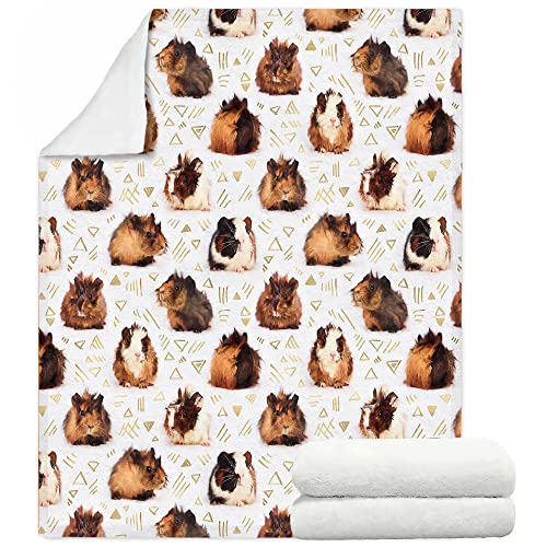 BONLOR Blanket, Guinea Pigs Soft Lightweight Hypoallergenic Plush Blanket- Super Soft Cozy 50"X 40" Bed Blanket for Sofa Couch Living Room Picnic Fall Spring Winter Use Throw Blanket for Men Womens