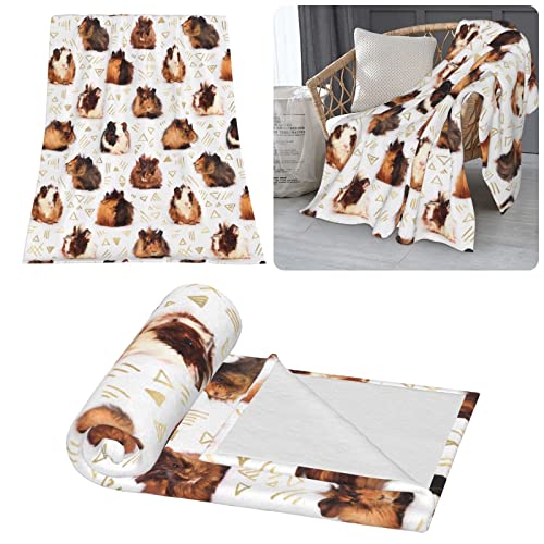 BONLOR Blanket, Guinea Pigs Soft Lightweight Hypoallergenic Plush Blanket- Super Soft Cozy 50"X 40" Bed Blanket for Sofa Couch Living Room Picnic Fall Spring Winter Use Throw Blanket for Men Womens