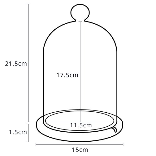 Lights4fun, Inc. Glass Cloche Bell Jar Display Dome with Bamboo Base - 9" x 6"