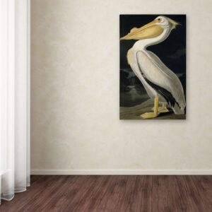 American White Pelican Artwork by John James Audubon, 30 by 47-Inch Canvas Wall Art