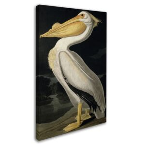 American White Pelican Artwork by John James Audubon, 30 by 47-Inch Canvas Wall Art