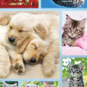 Trends International Keith Kimberlin - Puppies and Kittens Collage Wall Poster, 22.375" x 34", Unframed Version