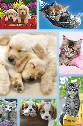 Trends International Keith Kimberlin - Puppies and Kittens Collage Wall Poster, 22.375" x 34", Unframed Version