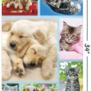 Trends International Keith Kimberlin - Puppies and Kittens Collage Wall Poster, 22.375" x 34", Unframed Version