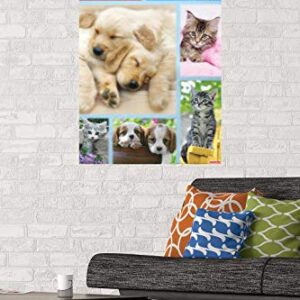 Trends International Keith Kimberlin - Puppies and Kittens Collage Wall Poster, 22.375" x 34", Unframed Version