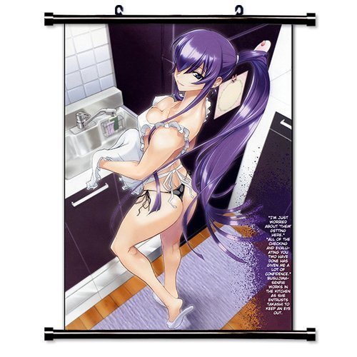 Anime Wall Scrolls High School of The Dead Poster (16 x 23) Inches